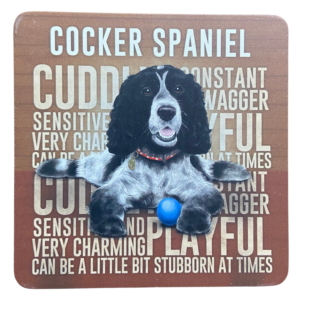 Cuddly Black and White Cocker Spaniel – WockerCocker
