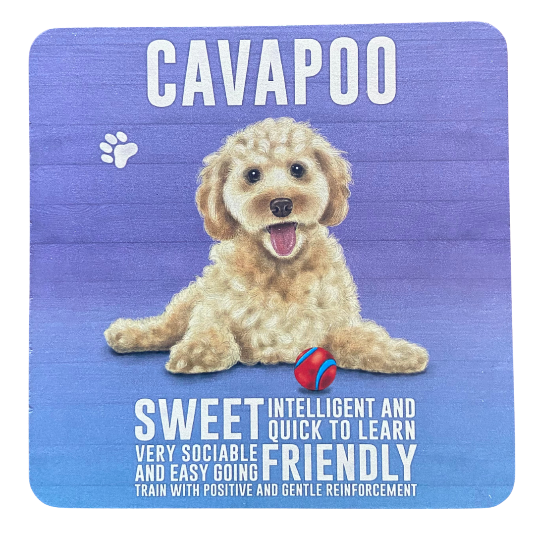 Cavapoo Melamine Coaster – WockerCocker